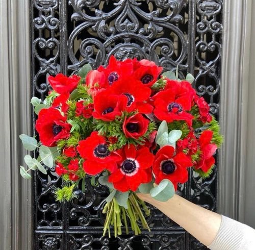 Proposal Flowers: Enhance Love with Exquisite Blooms